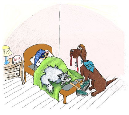 Stop Sacrificing Sleep - Trail Runner Magazine