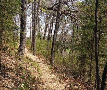 The Trail-Running Boomtowns of Northwest Arkansas - Trail Runner Magazine