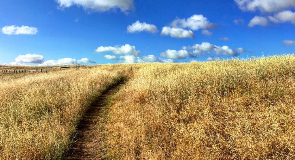 Mastering the Lunchtime Run - Trail Runner Magazine