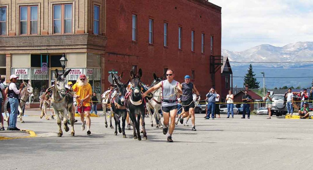 Pack-Burro Racing Kicks Ass - Trail Runner Magazine