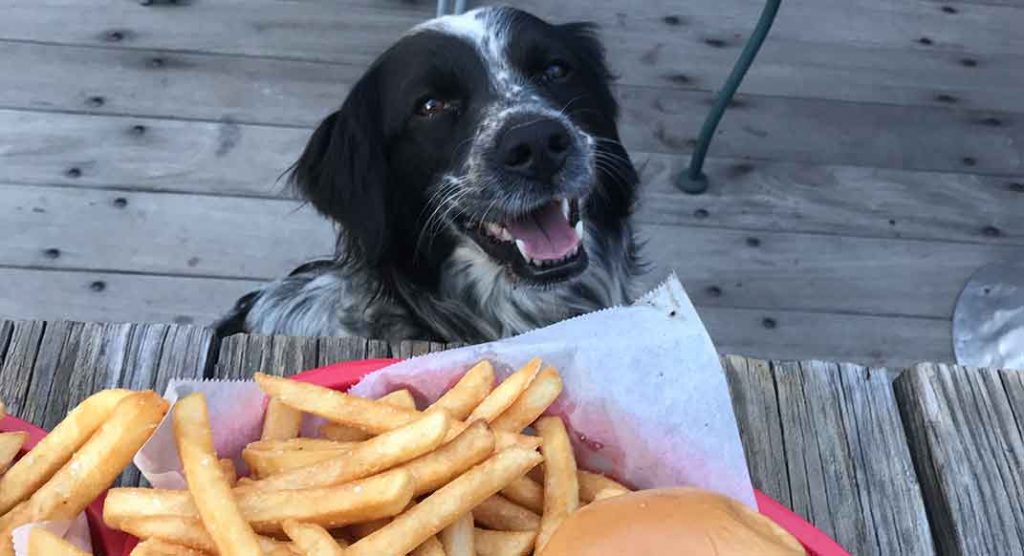 Understanding Glycogen, Your Body's High-Performance Fuel - Trail ...