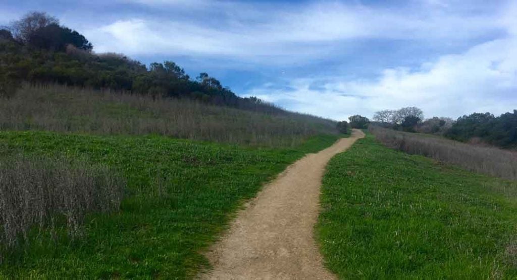 5 Tips For Returning to Running After an Injury - Trail Runner Magazine