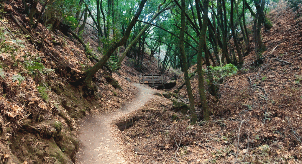 What It Means To “Base Build” And How To Do It - Trail Runner Magazine