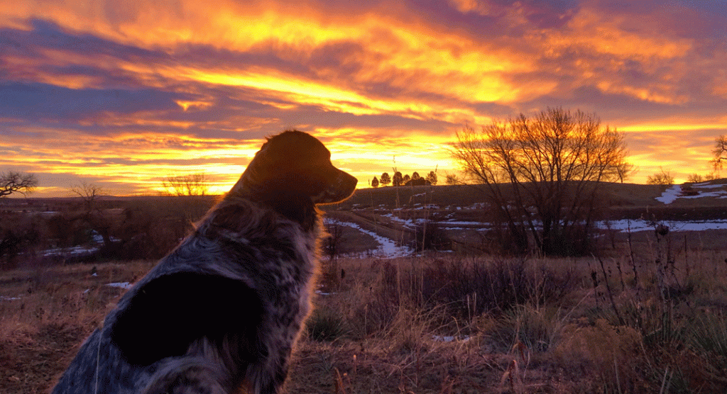 It’s OK To Be Sad On Christmas - Trail Runner Magazine