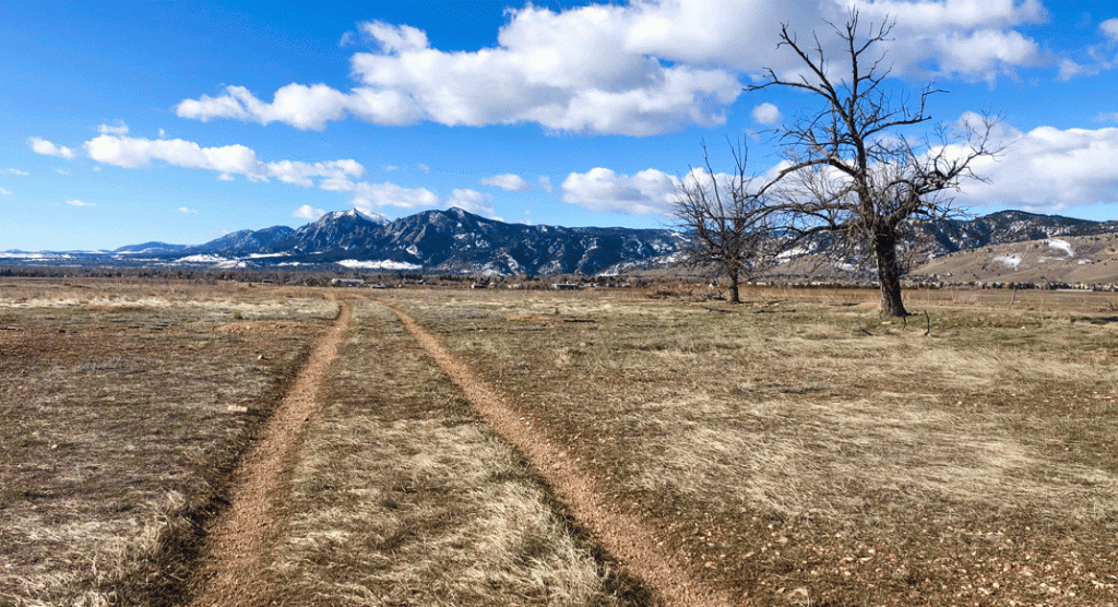 The Art Of The Easy Shuffle - Trail Runner Magazine