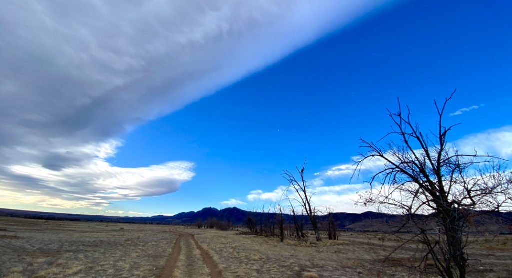 The Training Benefits of Crying - Trail Runner Magazine