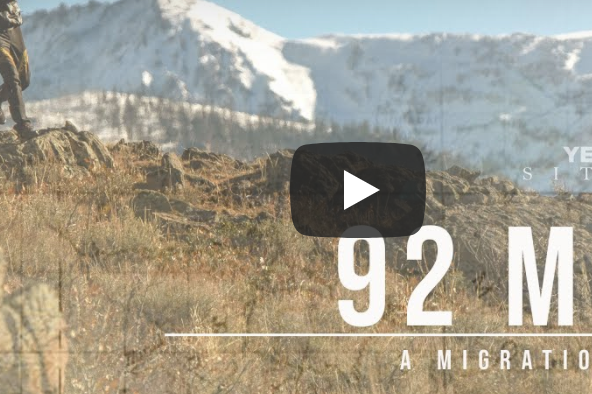 Watch: 92 Miles - Trail Runner Magazine