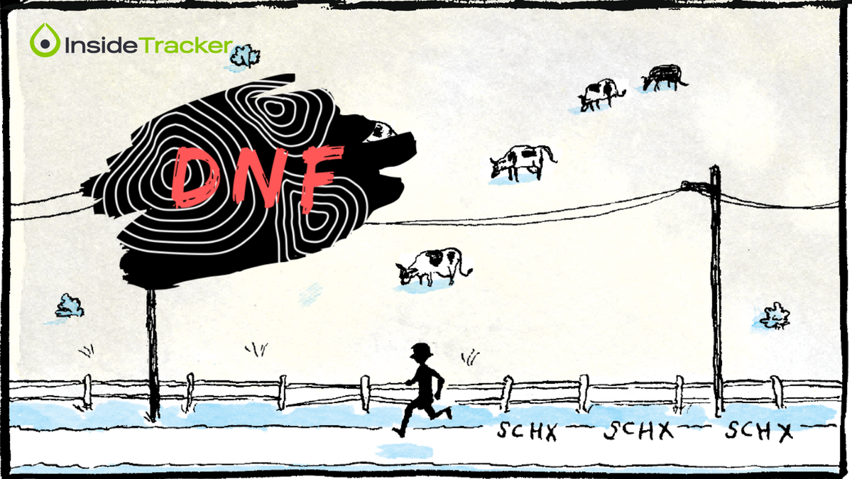 How Cartoonist Alison Bechdel Used Running To Get Creative And Stop ...