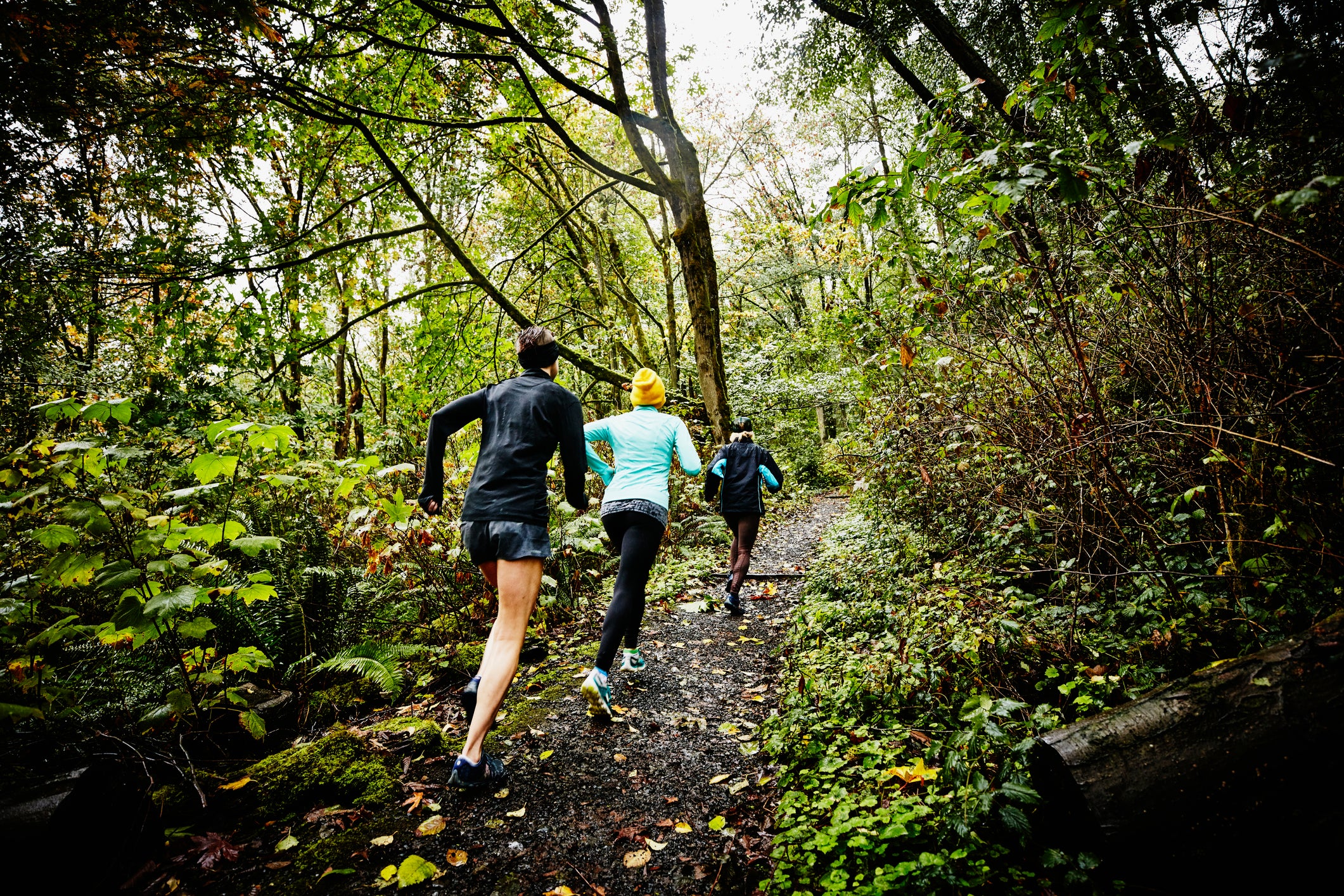 Trail RX: Group Run Anxiety And Realistic Expectations for Beginners ...