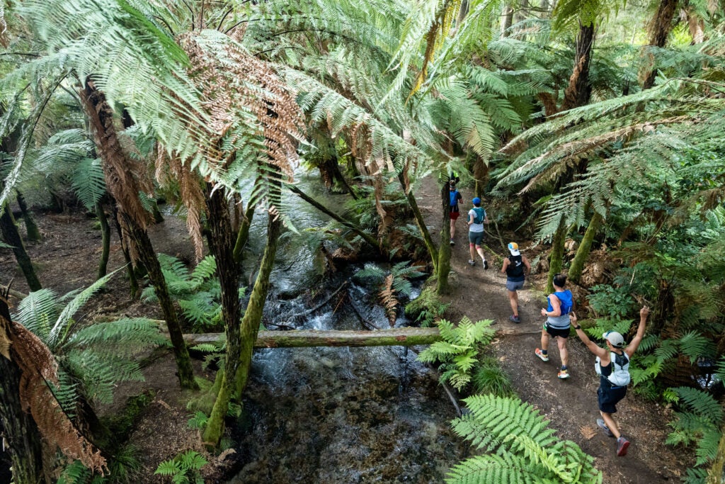 Race Recap: The 2023 Tarawera Ultramarathon By UTMB - Trail Runner Magazine