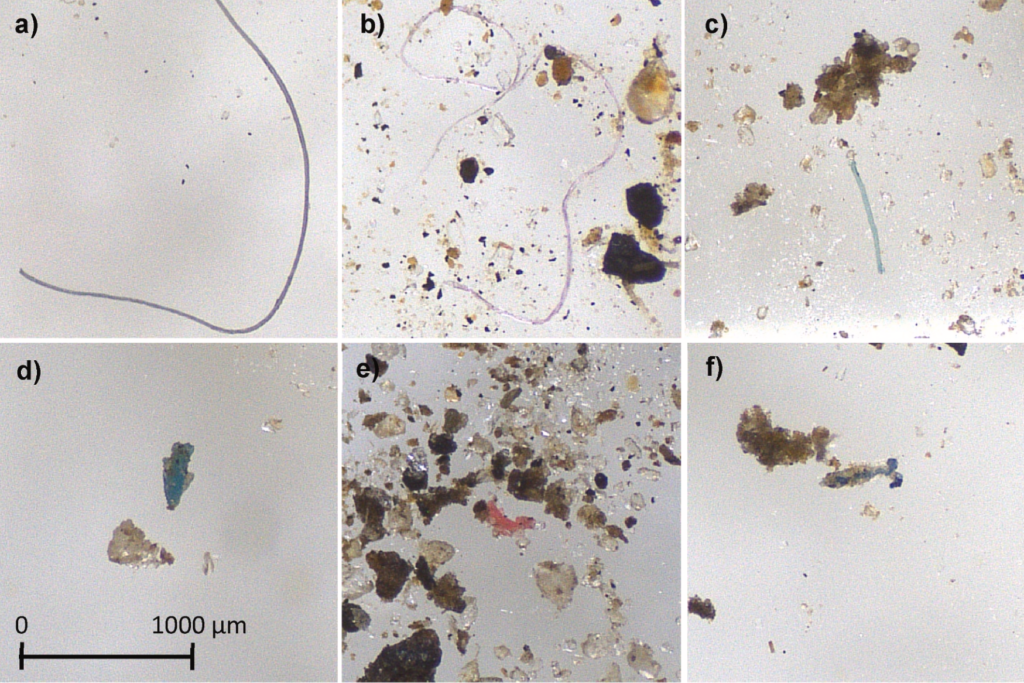 Trail Running’s Microplastics Problem - Trail Runner Magazine