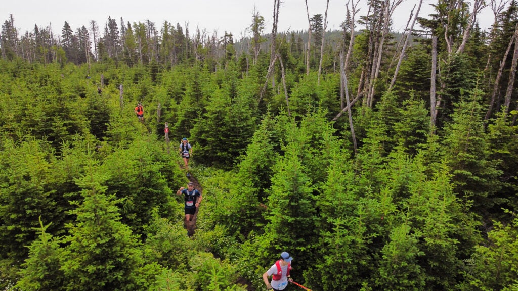 Why Quebec Mega Trail is Canada's Biggest Trail Running Event - Trail ...